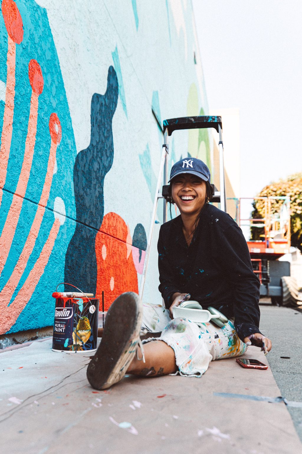 Mural Paints – Davlin Coatings